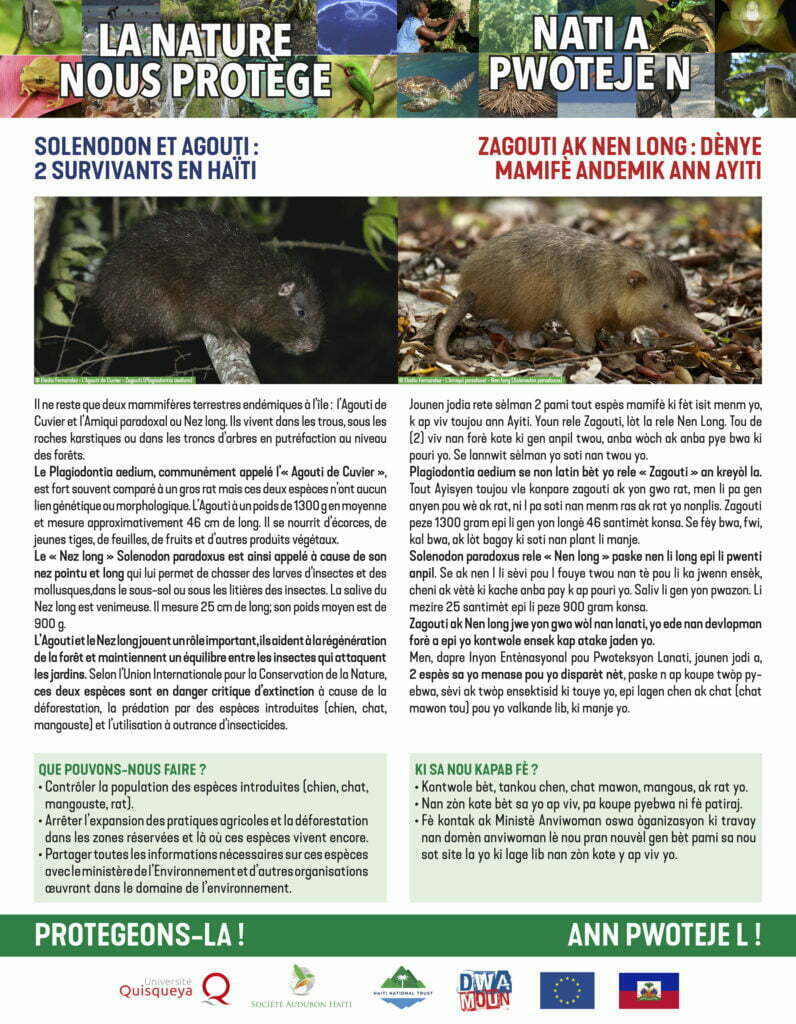 Biodiversity exposition at Universite Quiskeya - Haiti National Trust