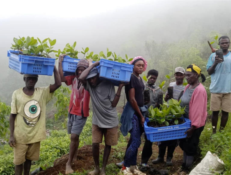 Our Work & Projects - Haiti National Trust