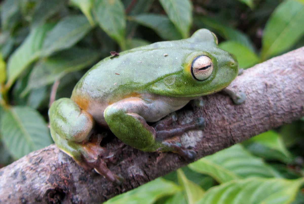 Celebrating the Successes of Haiti National Trust: A Glimmer of Hope ...