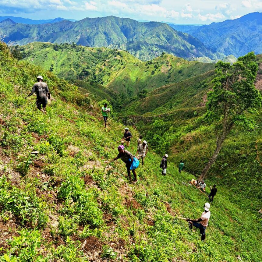 Thriving Against Adversity: Exceeding Reforestation Goals in 2023 ...